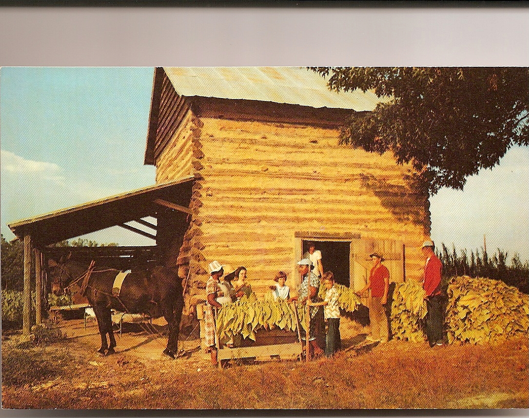 Tobacco in Bertie County