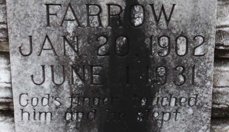 Rollinson-Farrow Cemetery - Frisco, Dare Co., NC