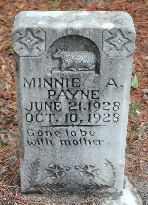 Rollinson-Farrow Cemetery - Frisco, Dare Co., NC