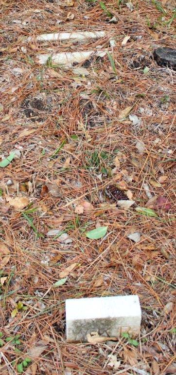 Rollinson-Farrow Cemetery - Frisco, Dare Co., NC